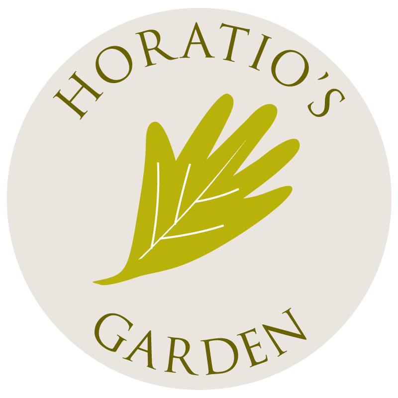 Horatio's Garden | Peter Sowerby Foundation